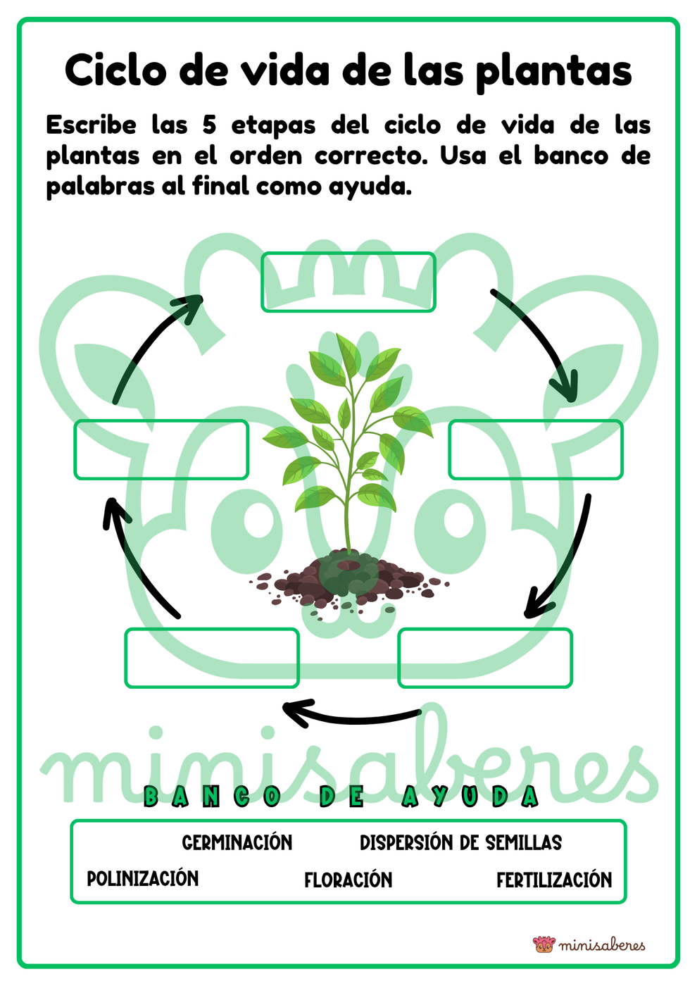 Ficha de trabajo: Ciclo de vida de las plantas 2 | Ciencias Naturales ...