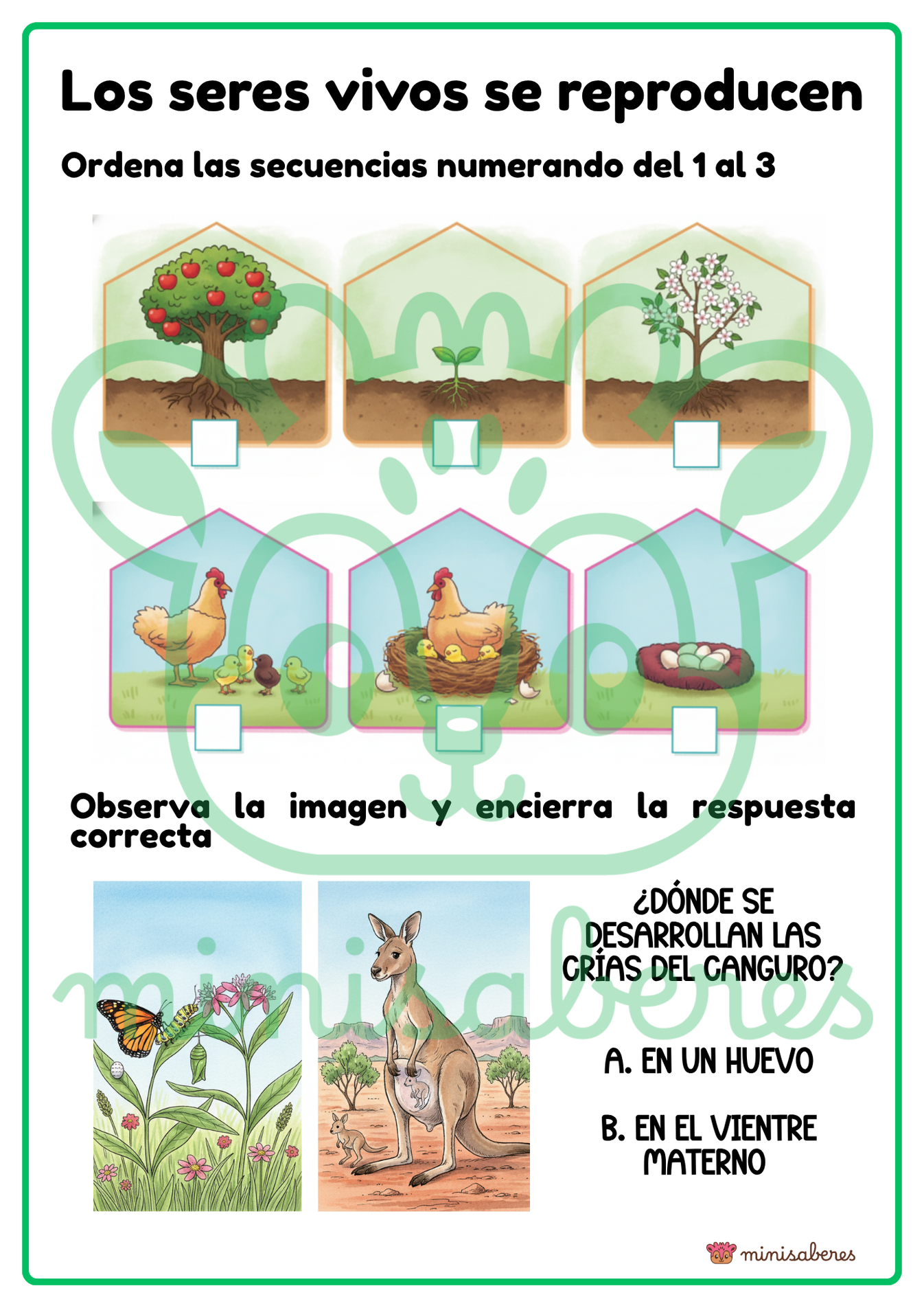 Ficha de trabajo: Los seres vivos se reproducen | Ciencias - 1° básico ...