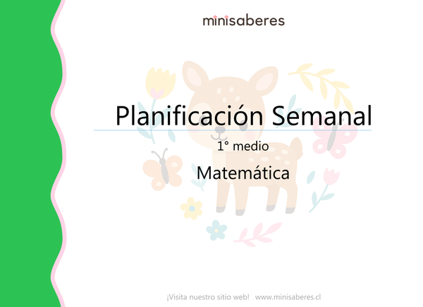 Planificación Matemática 1° Medio | Incluye adaptaciones NEE - Minisab ...